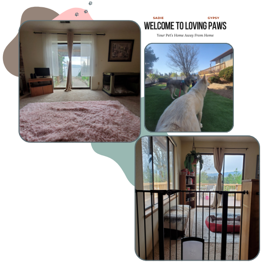 Services | Loving Paws